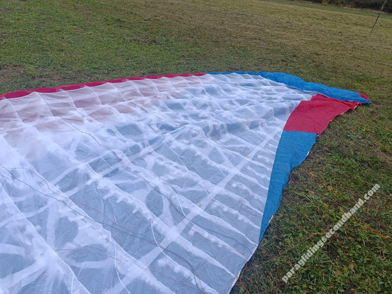 Advance Epsilon DLS, 30, 2024, (105-130kg), 30h